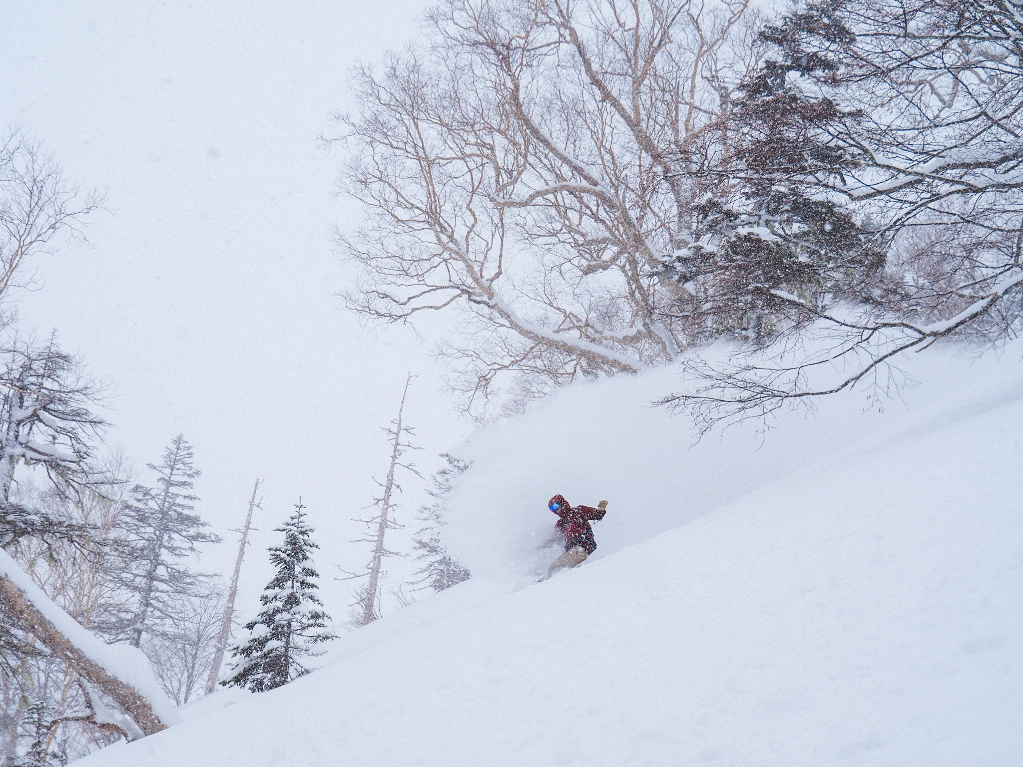 番亭 bamboo tail バックカントリーガイド